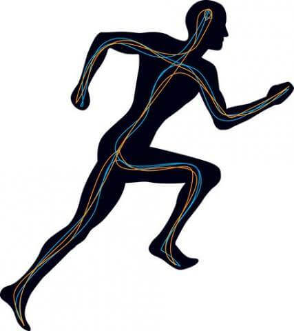 Regain Muscle Control - Idaho Spine & Sports Physical Therapy